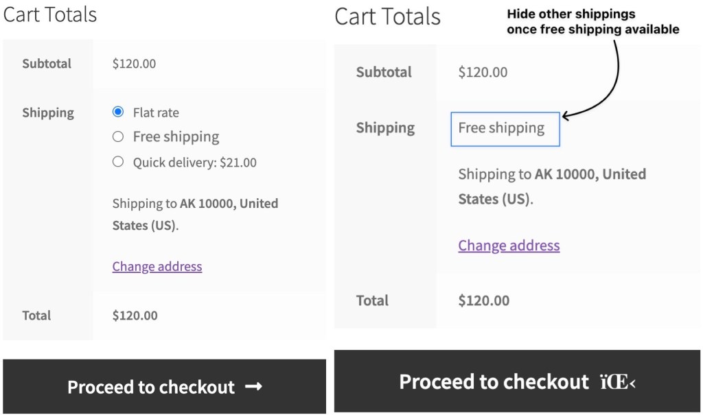 Hide shipping method for WooCommerce - Thedotstore