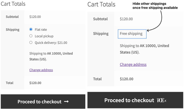 Hide shipping method for WooCommerce - Thedotstore