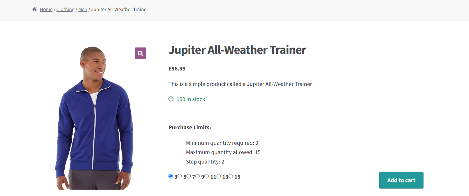 How to customize the WooCommerce quantity selector - Thedotstore